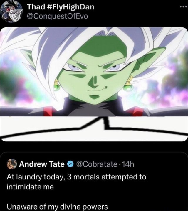 Thad #FlyHighDan @ConquestOfEvo Andrew Tate @Cobratate-14h At laundry ...