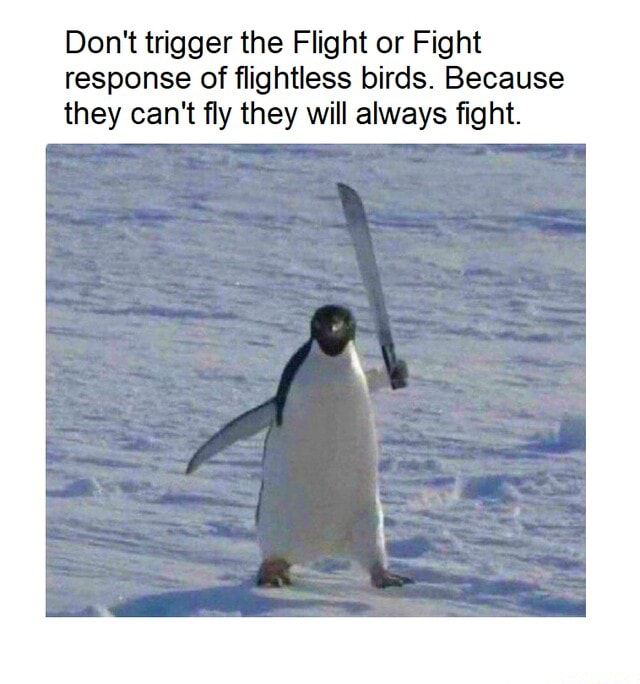 Don't trigger the Flight or Fight response of flightless birds. Because ...