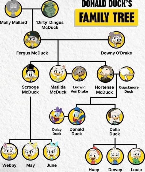 DONALD DUCK oryorws FAMILY TREE McDuck Downy O'Drake Matilda Ludwig ...