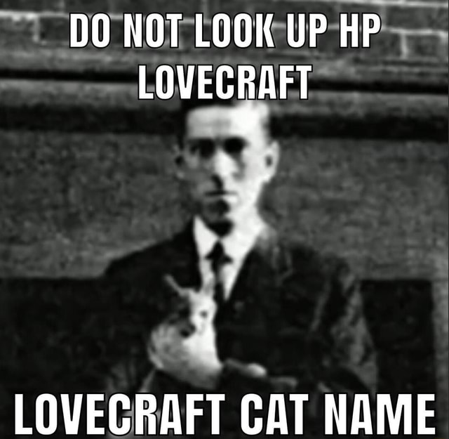 DO NOT LOOK UP HP LOVECRAFT LOVECRAFT CAT NAME - iFunny