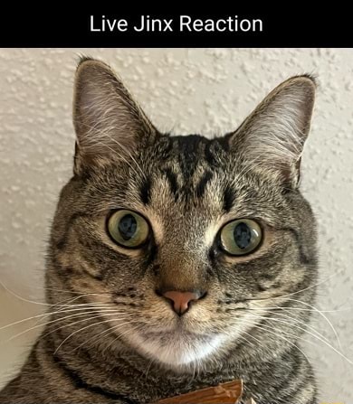Live Jinx Reaction - iFunny
