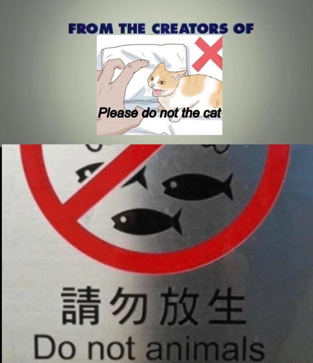 FROM THE CREATORS OF Please do not the cat - iFunny