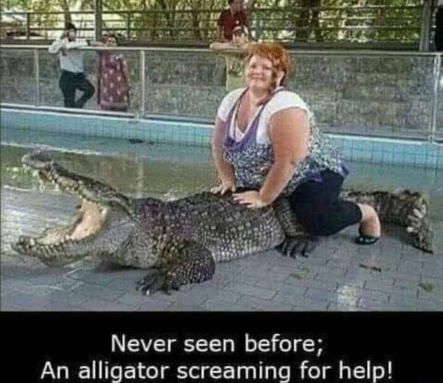 Never seen before; An alligator screaming for help! - iFunny