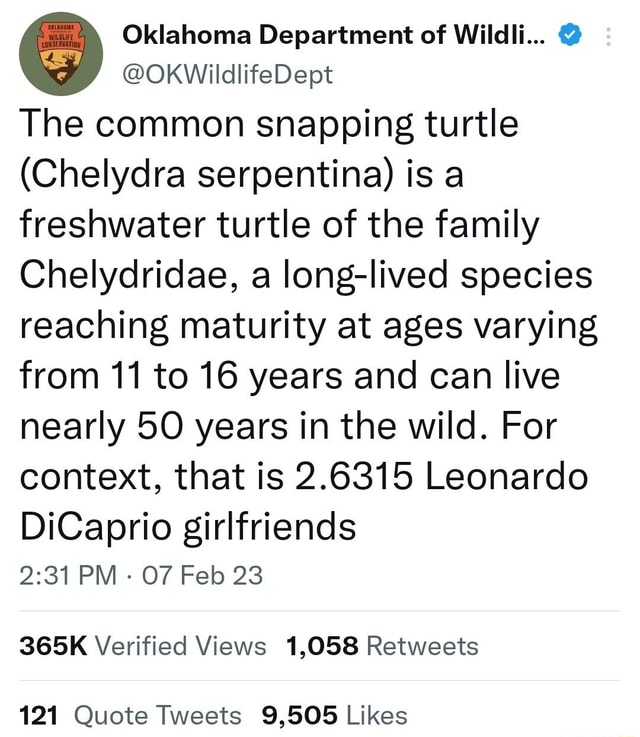 @OKWildlifeDept The common snapping turtle (Chelydra serpentina) is a ...