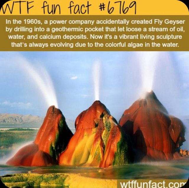 INT fun tact *b In the 1960s, a power company accidentally created Fly ...