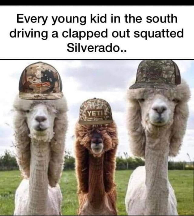 Every young kid in the south driving a clapped out squatted Silverado ...