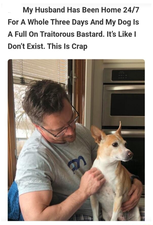 My Husband Has Been Home 24/7 For A Whole Three Days And My Dog Is A ...