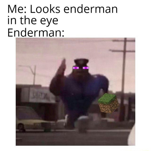 Me: Looks enderman in the eye Enderman: - iFunny