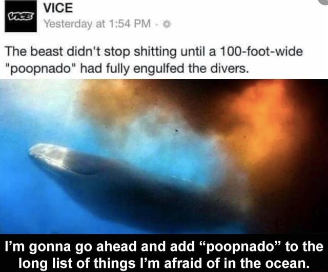 VICE Yesterday at The beast didn't stop shitting until a 100-foot- wide ...