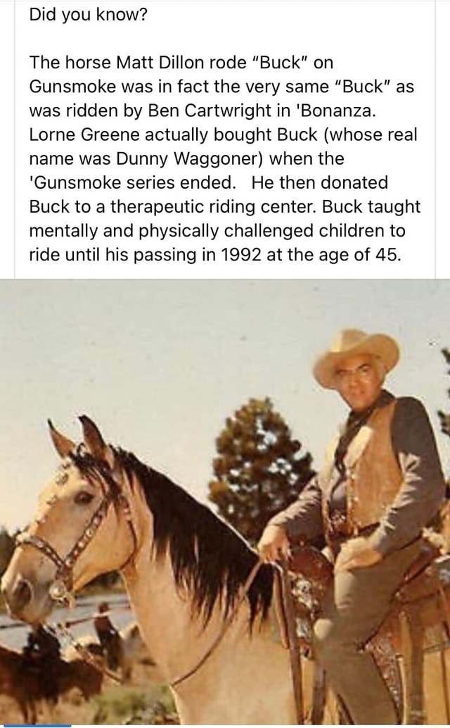 Did you know? The horse Matt Dillon rode "Buck" on Gunsmoke was in fact ...
