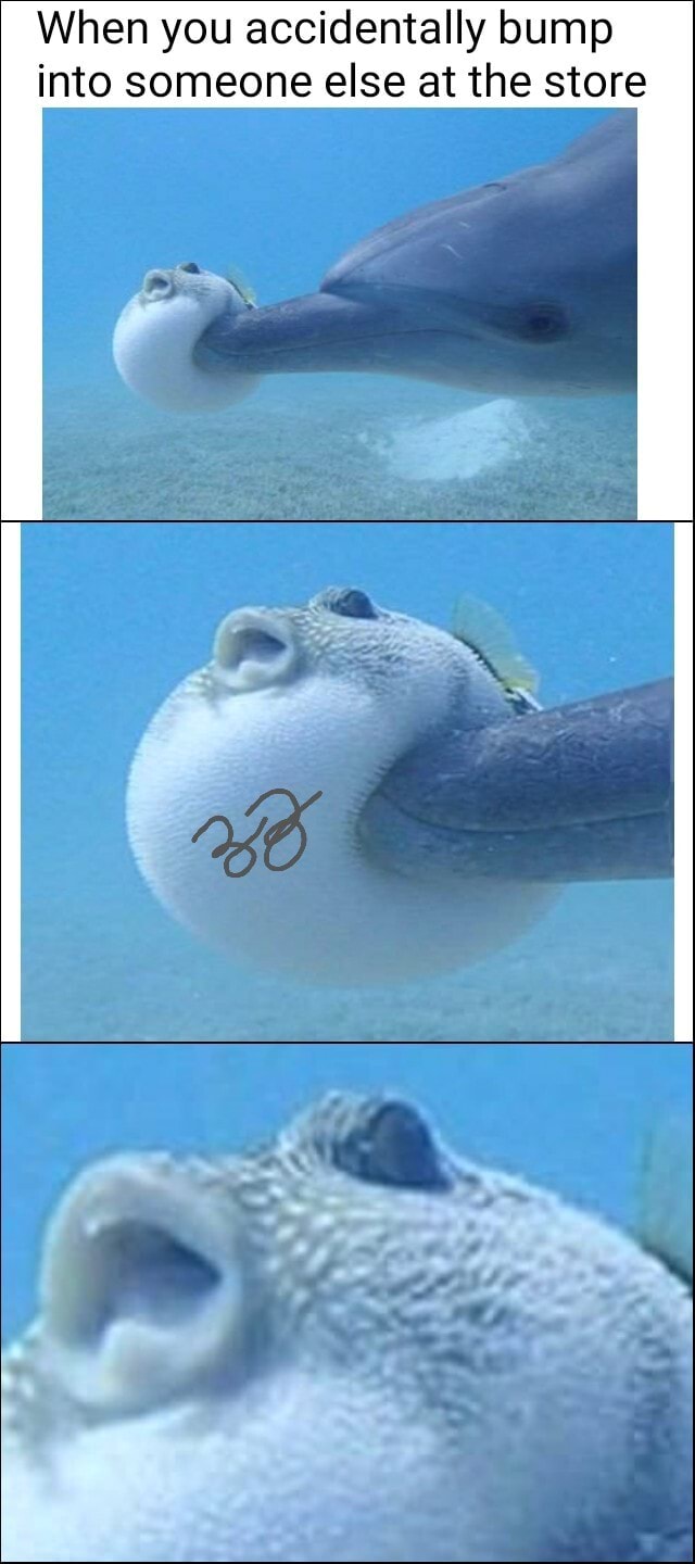 When you accidentally bump into someone else at the store - iFunny