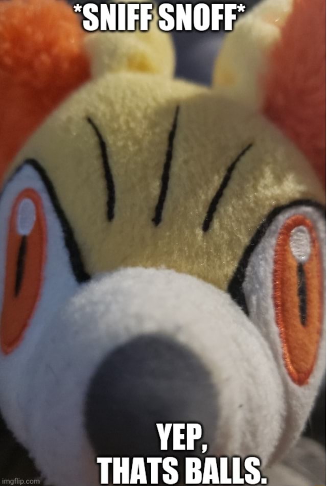 "SNIFF SNOFF YEP, THATS BALLS. - iFunny