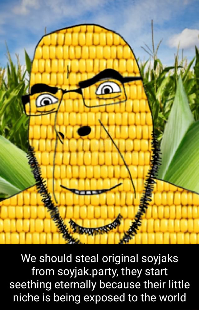 We should steal original soyjaks from soyjak.party, they start seething ...