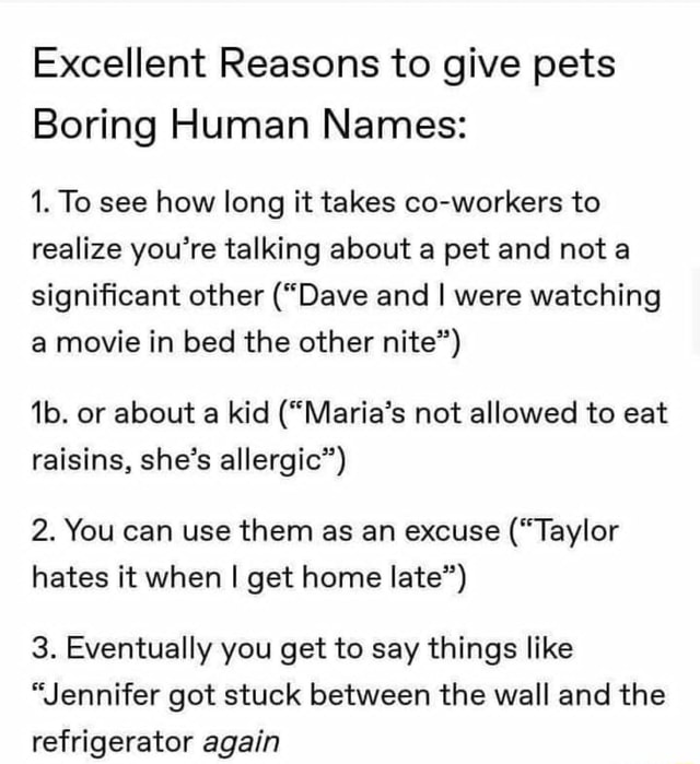 Excellent Reasons to give pets Boring Human Names: 1. To see how long ...