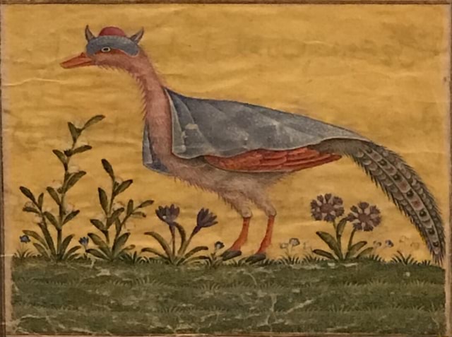 17th century Indian artists depicting an Armadillo, based on based on ...