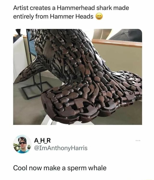 Artist creates a Hammerhead shark made entirely from Hammer Heads Cool ...