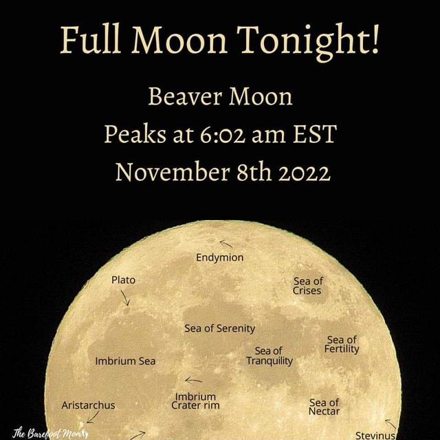 Full Moon Tonight! Beaver Moon Peaks at am EST November 2022 Endymion ...
