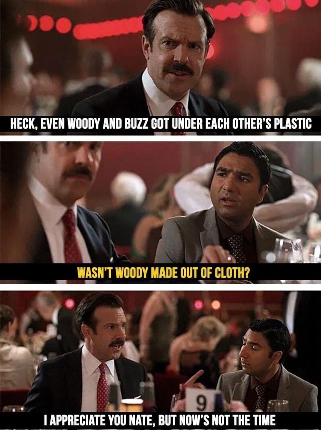 HECK, EVEN WOODY AND BUZZ GOT UNDER EACH OTHER'S PLASTIC WASN'T WOODY ...