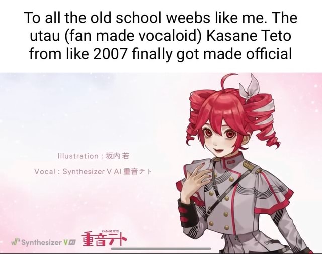 To all the old school weebs like me. The utau (fan made vocaloid) Kasane Teto from like 2007 ...