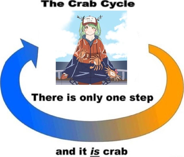 The Crab Cycle There is only one step and it is crab - iFunny