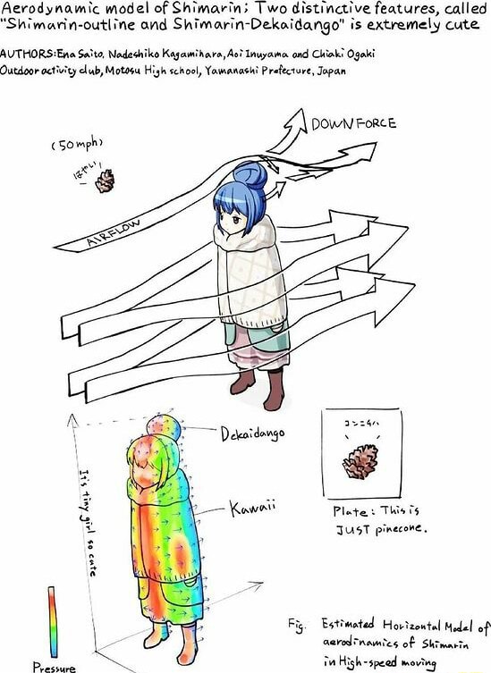 Aerodynamic model of Shimarin;> Two distinctive features, called ...