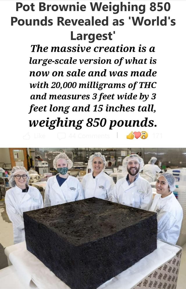 Pot Brownie Weighing 850 Pounds Revealed as 'World's Largest' The ...