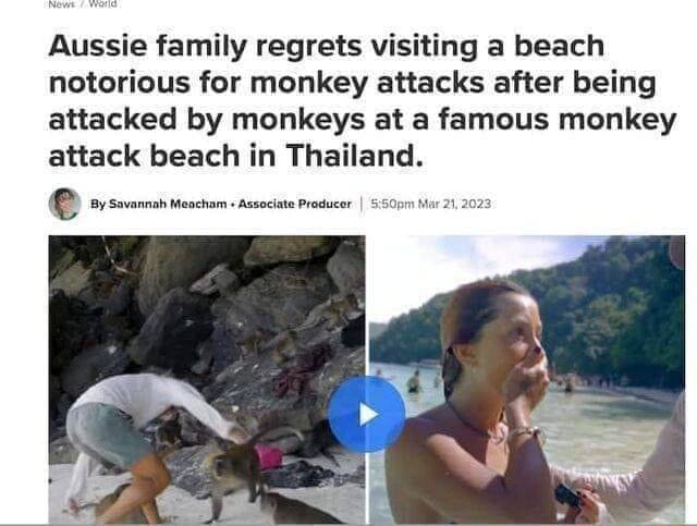 Aussie family regrets visiting a beach notorious for monkey attacks after being attacked by ...