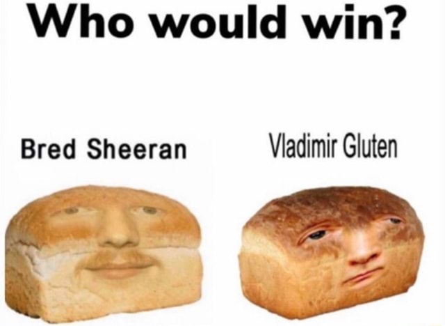 Who would win? Bred Sheeran Vladimir Gluten - iFunny