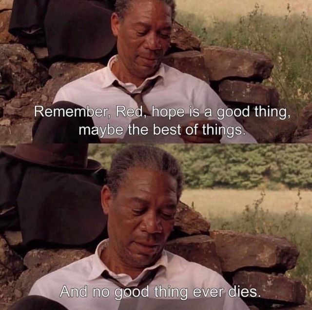 The Shawshank Redemption (1994) - Remember, Red. hope is a good thing ...