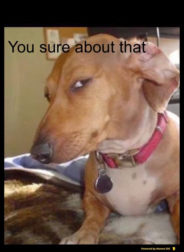 You Sure about that Powered byMemesios - iFunny