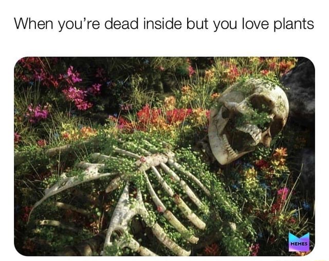 When you're dead inside but you love plants - iFunny