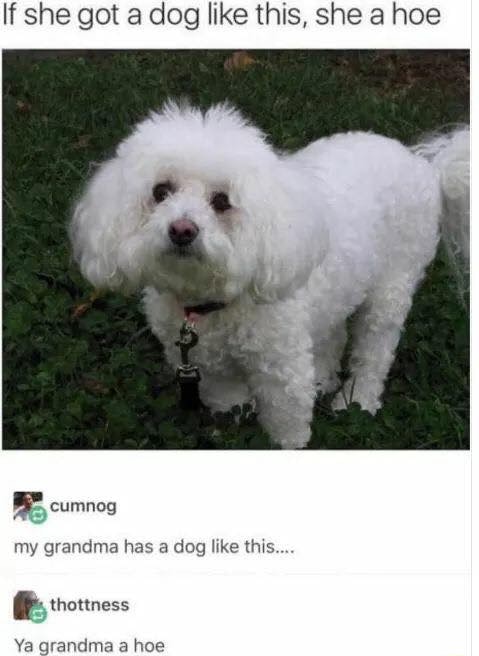 If she got a dog like this, she a hoe BR cumnog my grandma has a dog ...
