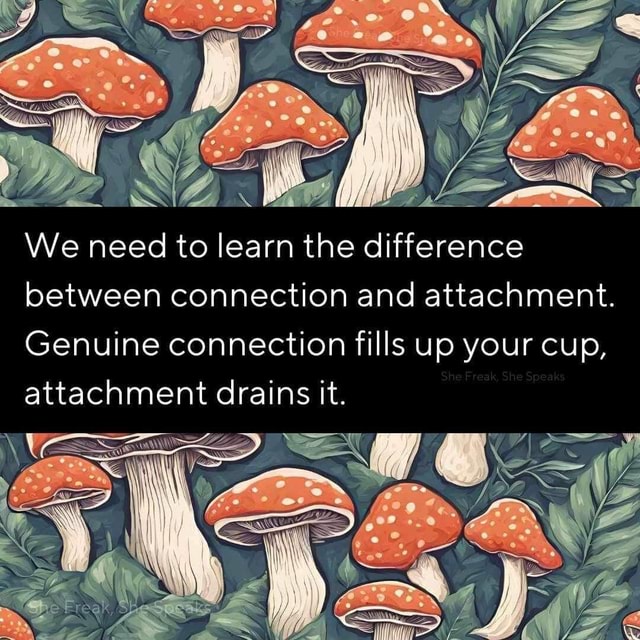 We need to learn the difference between connection and attachment ...