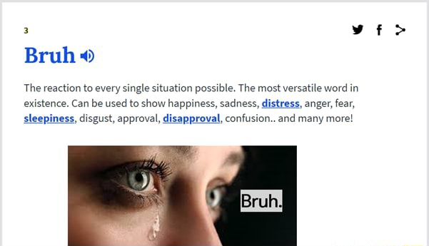 Bruh The reaction to every single situation possible. The most ...