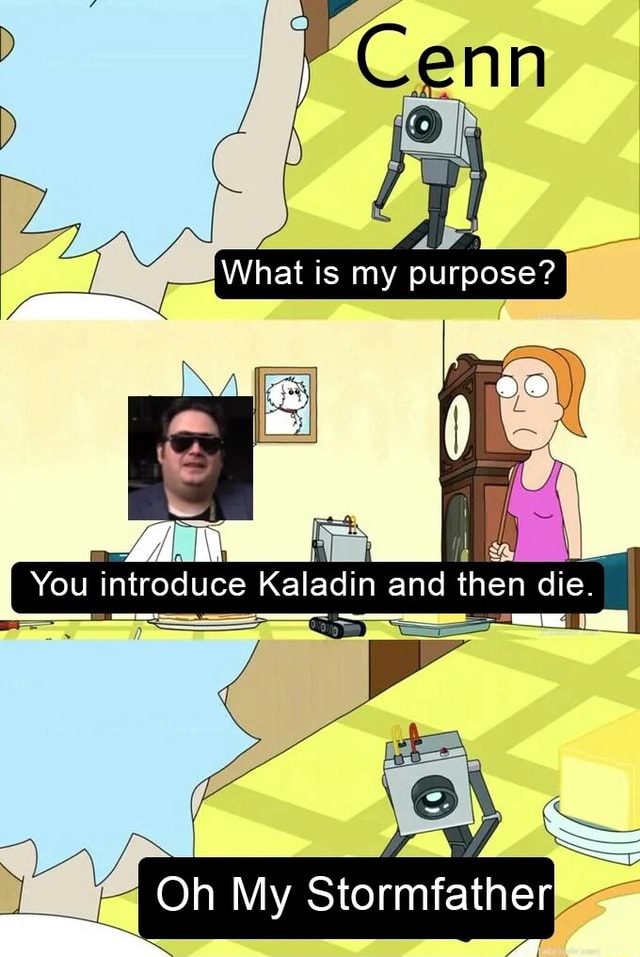 What is my purpose? You introduce Kaladin and then die. Oh My ...