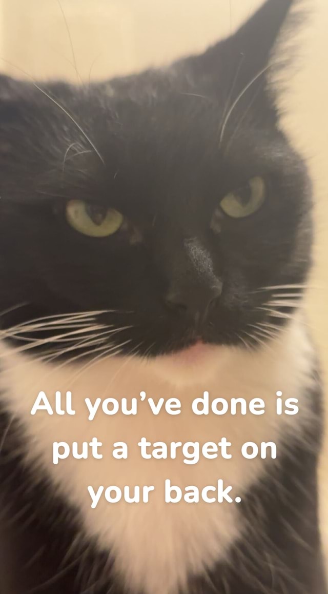 ALL you've done is put a target on your back. - iFunny