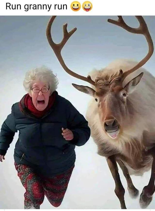 Run granny run - America’s best pics and videos