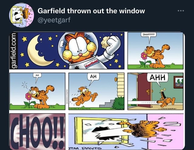 Garfield thrown out the window yeetsarf - iFunny