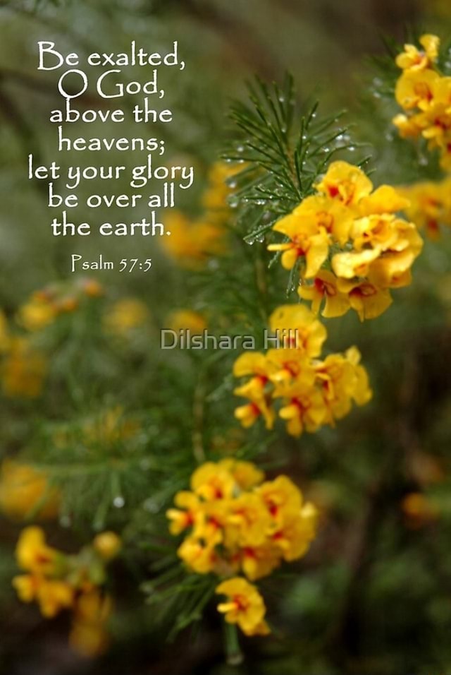 Be exalted, God, above the heavens; let your glory be over all" the ...