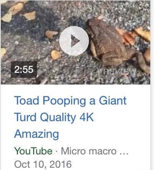 Toad Pooping a Giant Turd Quality 4K Amazing YouTube Micro macro Oct 10 ...