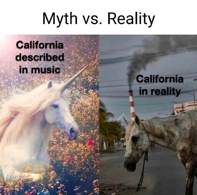 Myth vs. Reality reality in - iFunny
