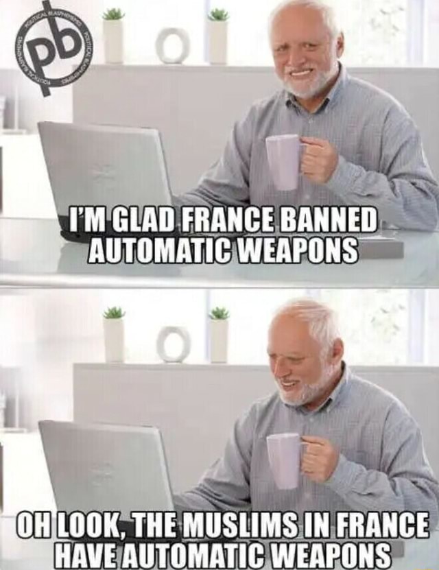 GLAD FRANCE BANNED AUTOMATIC WEAPONS TY Gi THE MUSLIMS FRANGE HAVE ...
