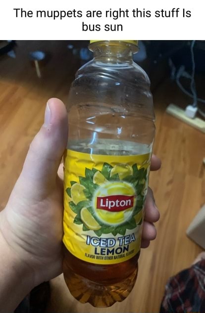 The muppets are right this stuff Is bus sun Lipton - iFunny
