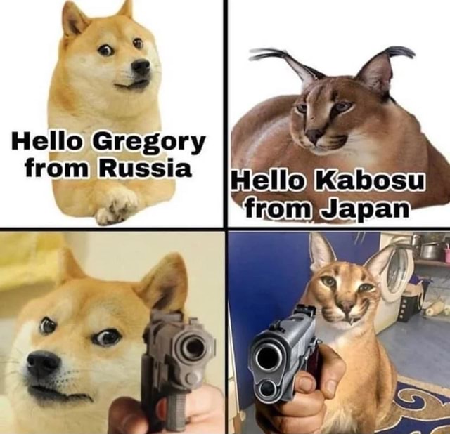 Hello Gregory from Russia Japan- - iFunny