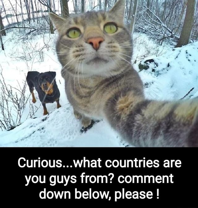 Curious...what countries are you guys from? comment down below, please ...