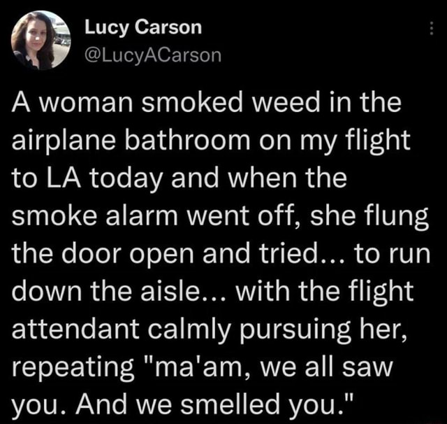 Lucy Carson A woman smoked weed in the airplane bathroom on my flight ...