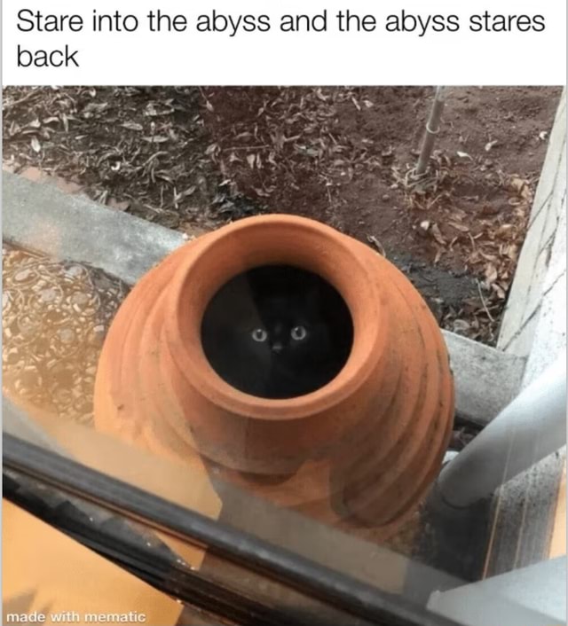 Stare into the abyss and the abyss stares As back made with mematic ...