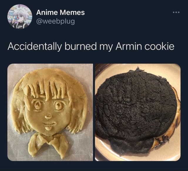 Anime Memes Accidentally burned my Armin cookie - iFunny