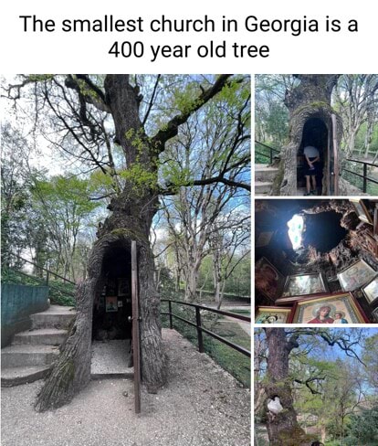 The smallest church in Georgia is a 400 year old tree - iFunny