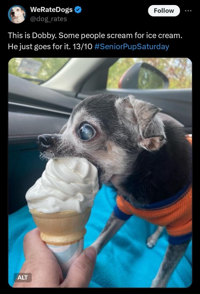 WeRateDogs This is Dobby. Some people scream for ice cream. He just ...